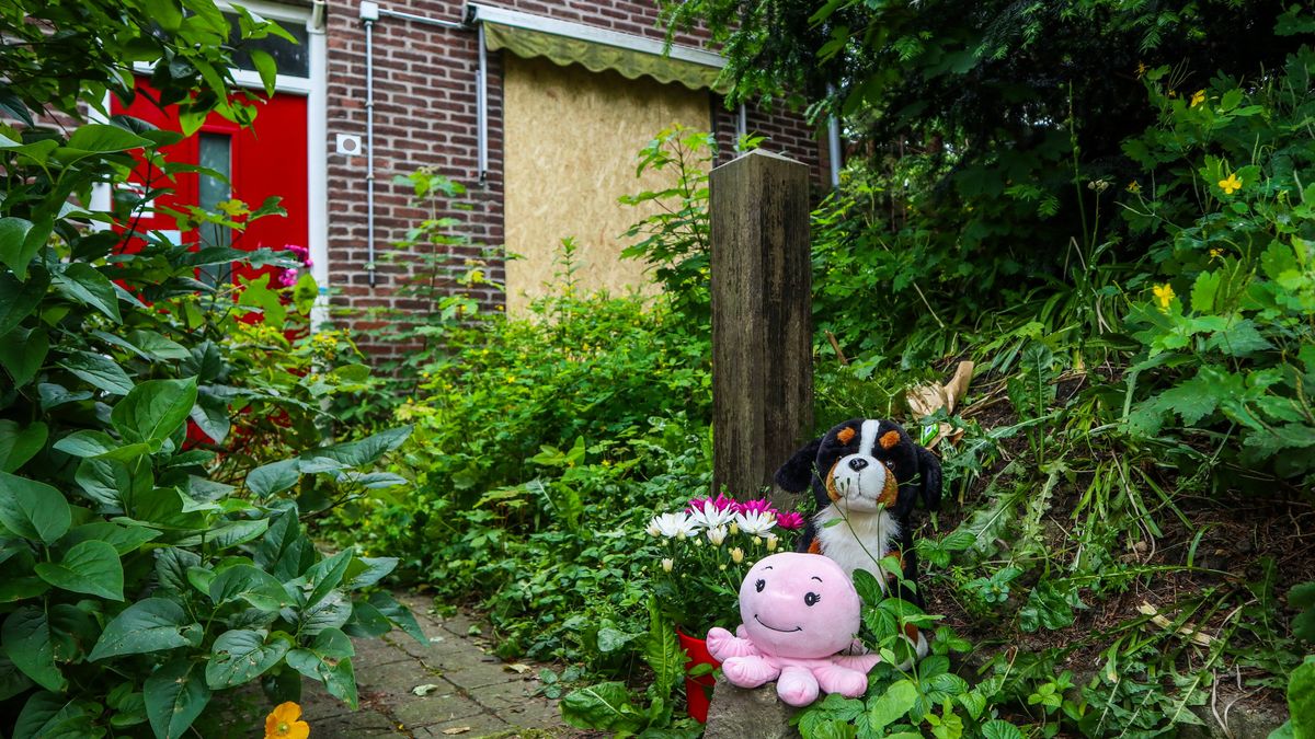 Vlaardings pleegmeisje symbool van alles wat misgaat in jeugdzorg ...