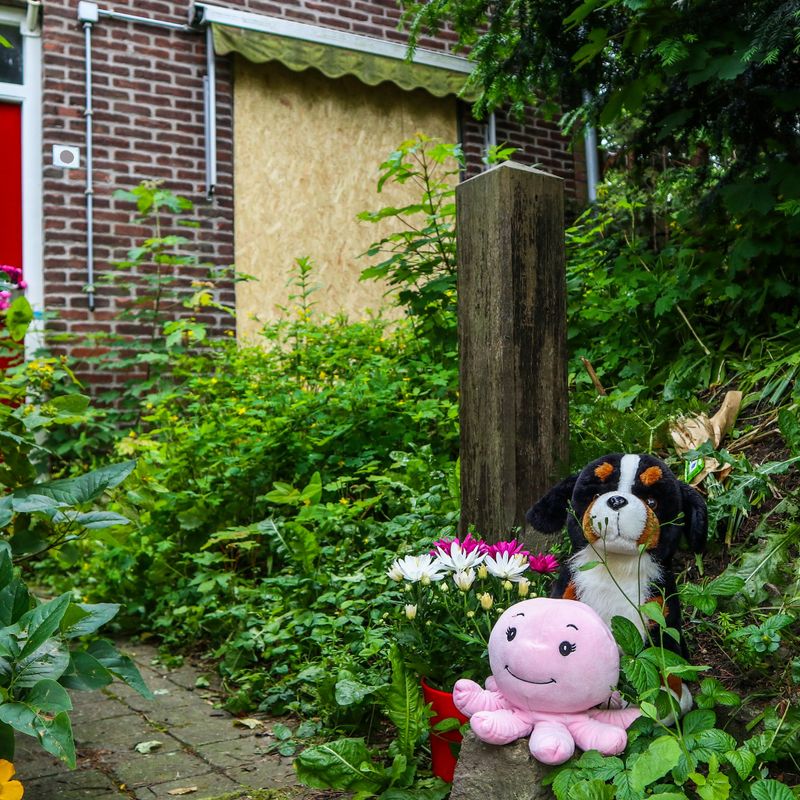 'Moeder en zusje Vlaardings pleegmeisje stellen zorgorganisaties aansprakelijk' - Rijnmond