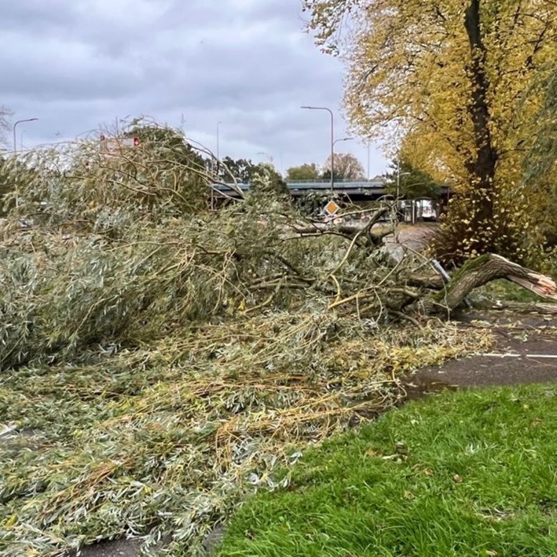 Harde windstoten en rondvliegende voorwerpen: morgen code geel door storm Pia - RTV Utrecht