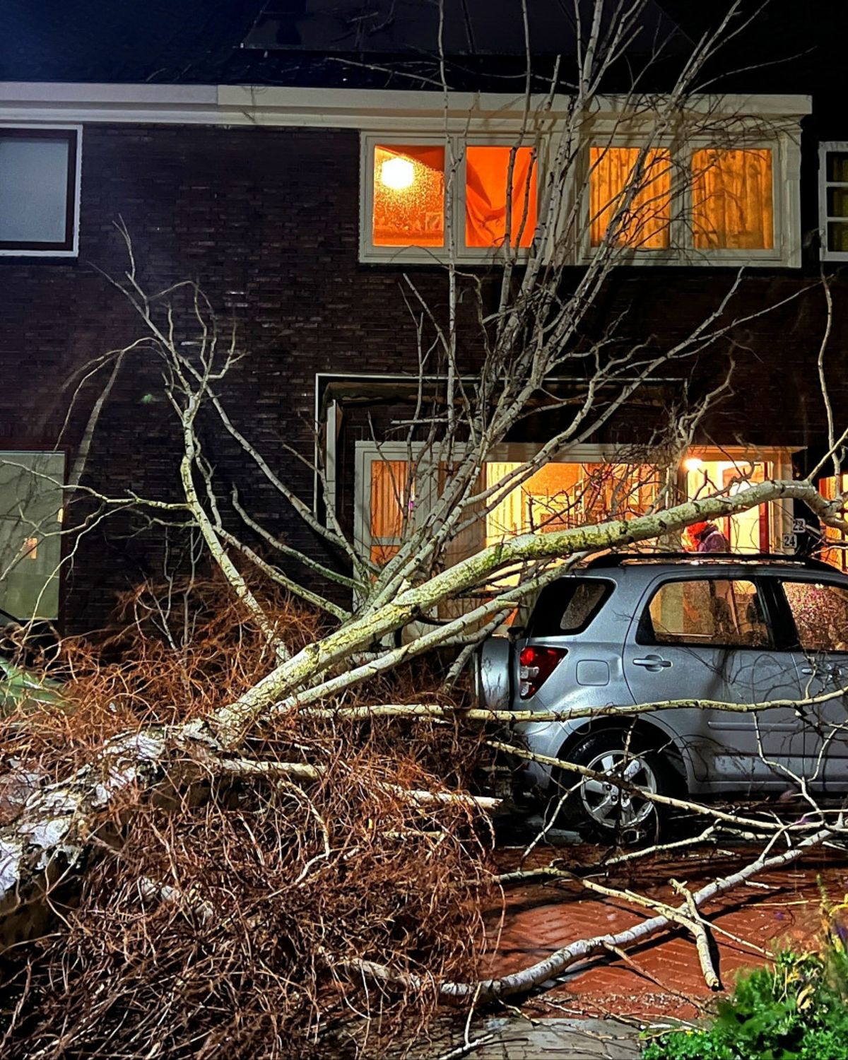 Schade door storm Aitor: boom waait om en valt op auto en tegen huis aan - Omroep West