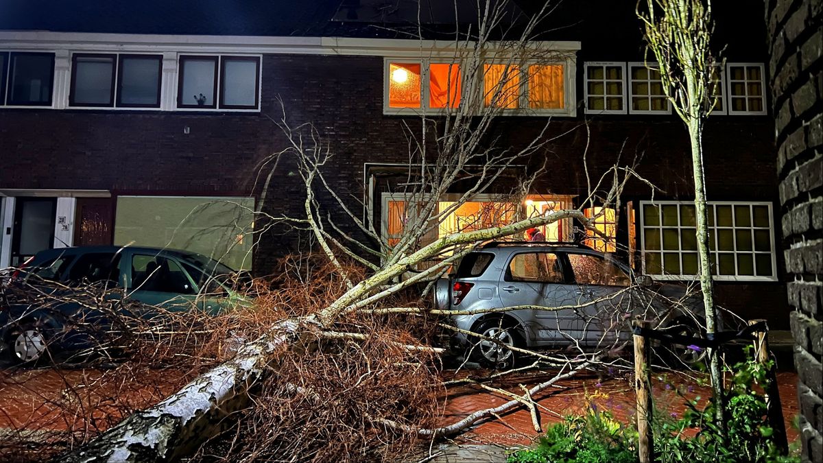 Schade door storm Aitor: boom waait om en valt op auto en tegen huis ...