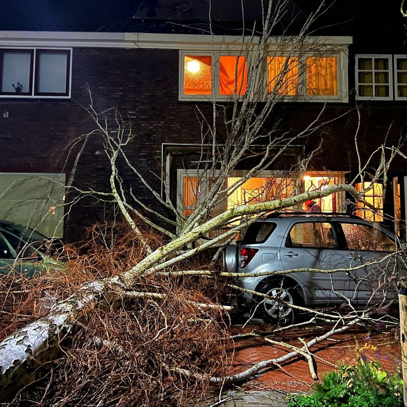 Schade door storm Aitor: boom waait om en valt op auto en tegen huis ...