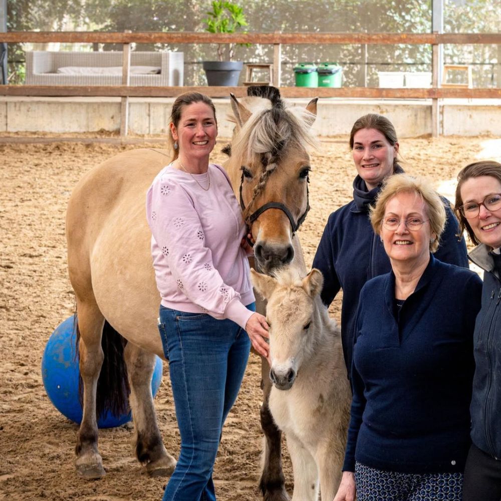 Aïde, Fiona, Iris en fokken al bijna twintig jaar paarden op hun manege ...