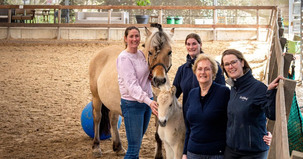 Aïde, Fiona, Iris en fokken al bijna twintig jaar paarden op hun manege ...
