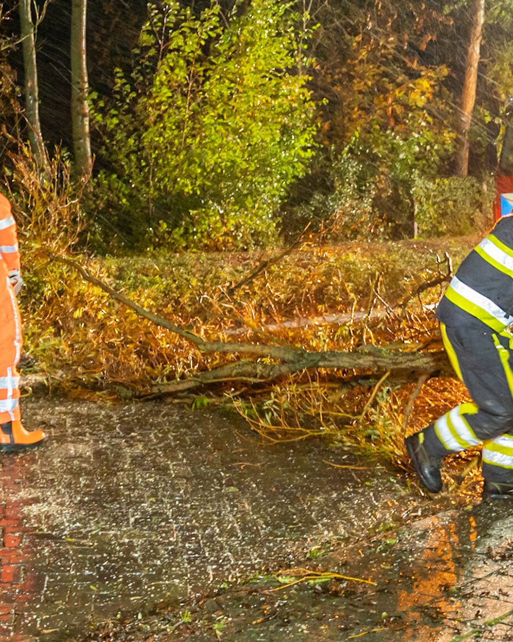 Storm Benjamin raast over Fryslân: bomen op de weg, zwaarste windstoot ...