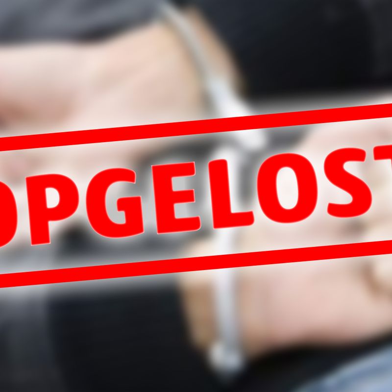 Verdachte aangehouden voor ernstig zedenmisdrijf Zeist - RTV Utrecht