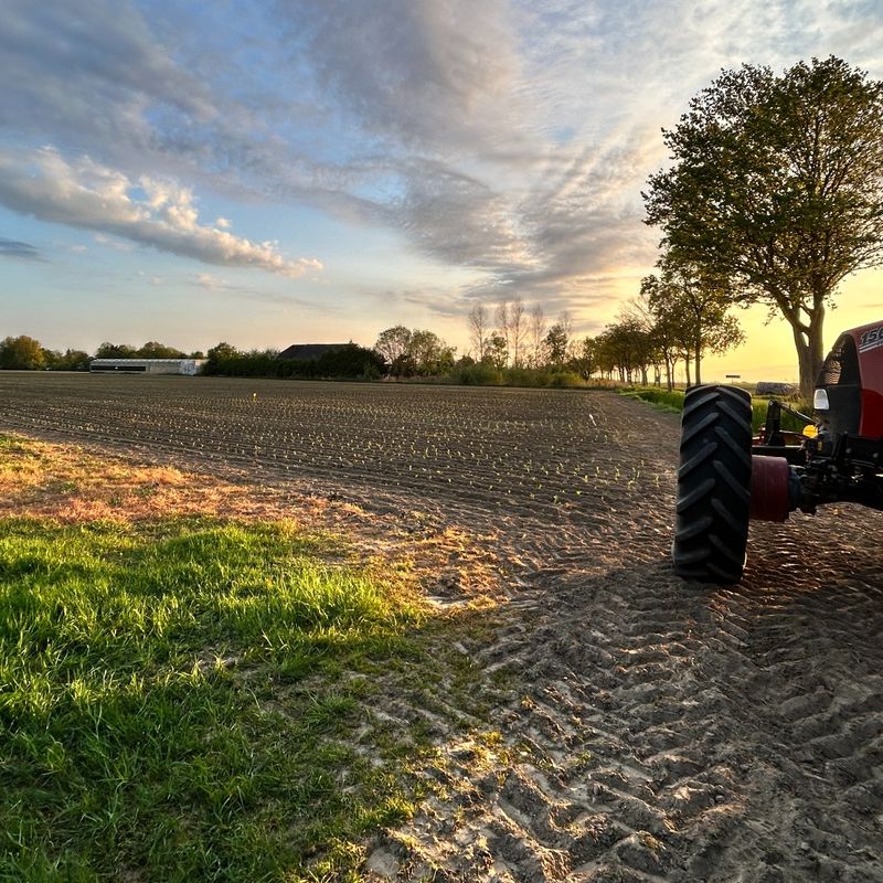 BBB wil dat landbouwgrond, landbouwgrond blijft: ‘Niet haalbaar’ - RTV ...