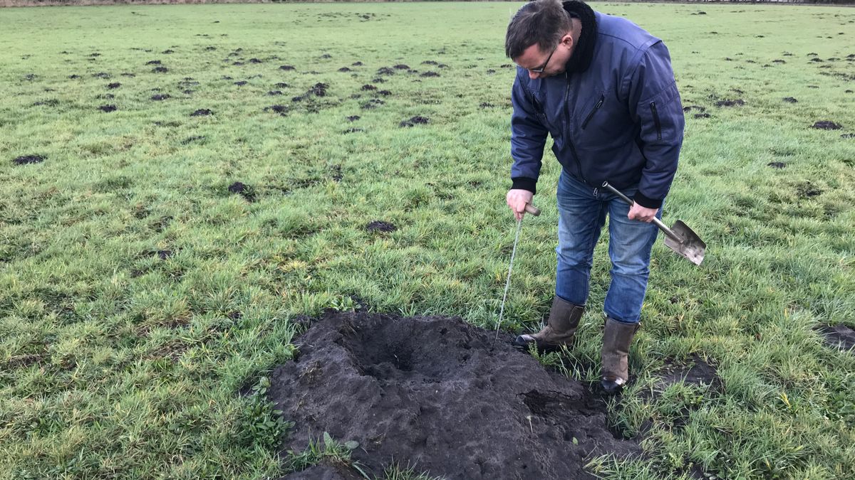 Molshopen schieten uit de grond: 'Als je niets doet, heb je er zo zeven ...