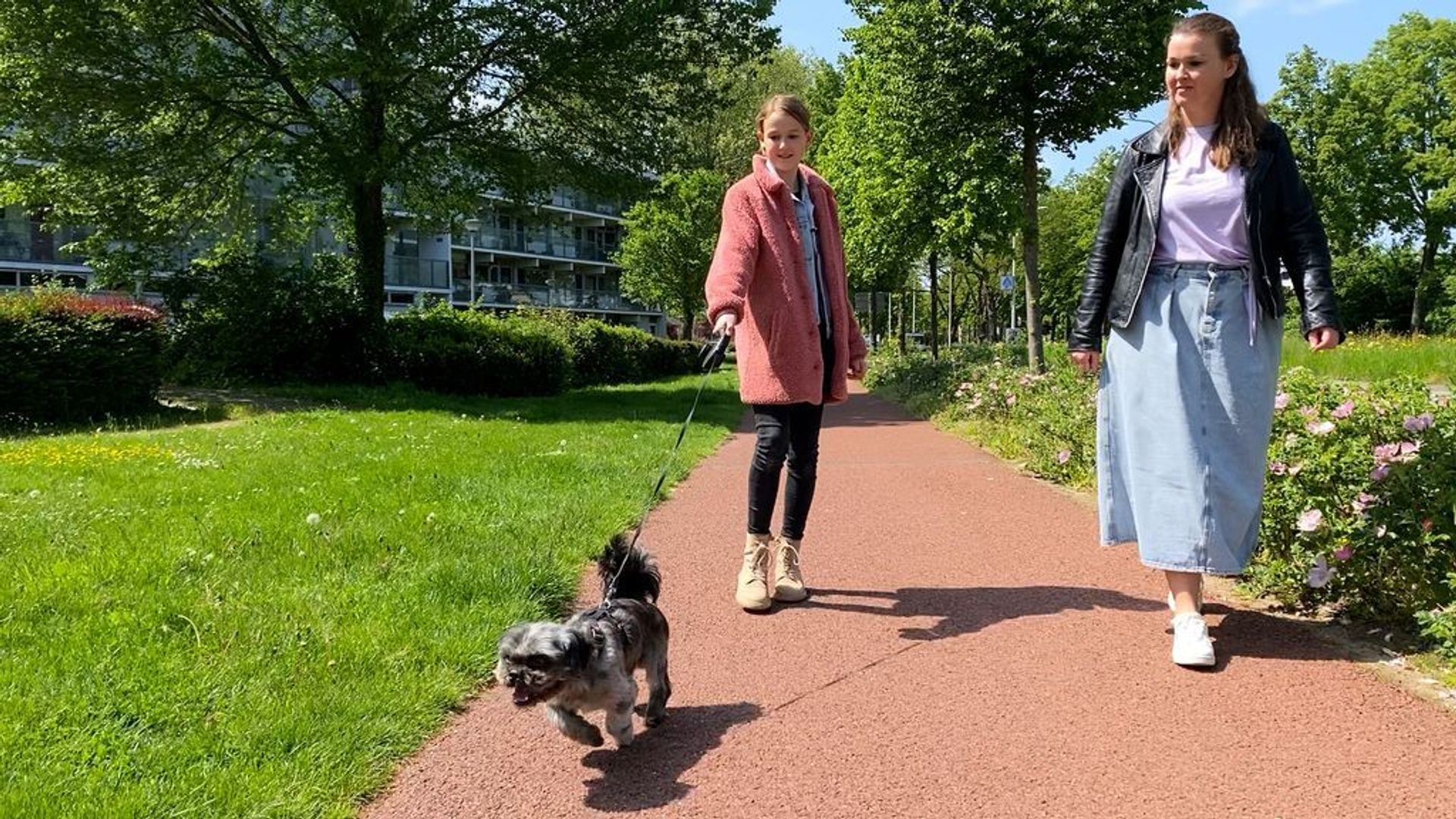 Hondje eet worst met punaise: 'Hij moet aan de riem' - Omroep Gelderland