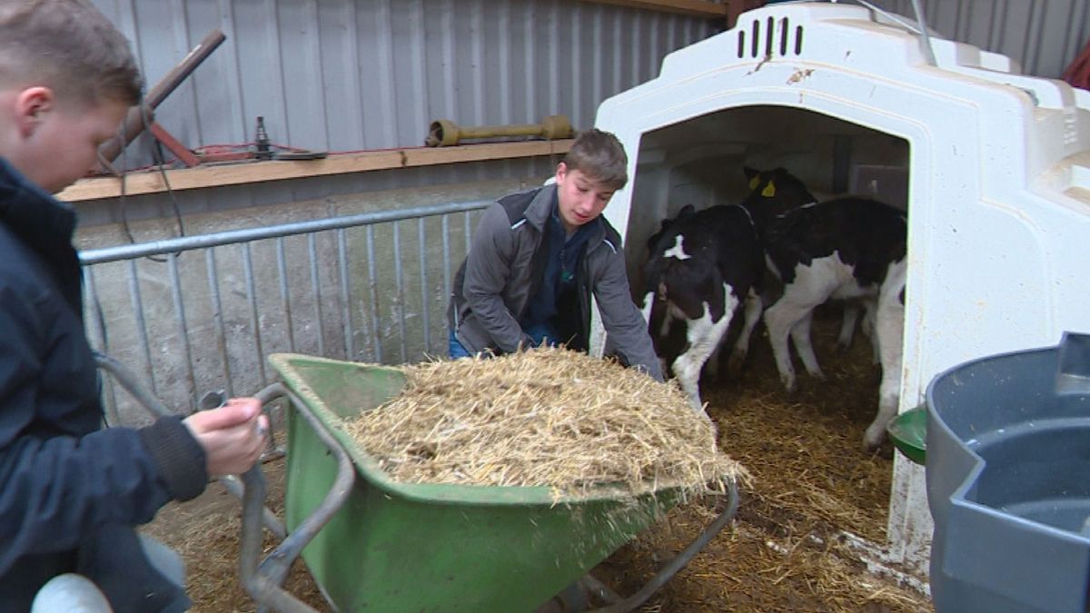 Lemster zorgboerderij helpt schoolkinderen die zijn vastgelopen in het ...