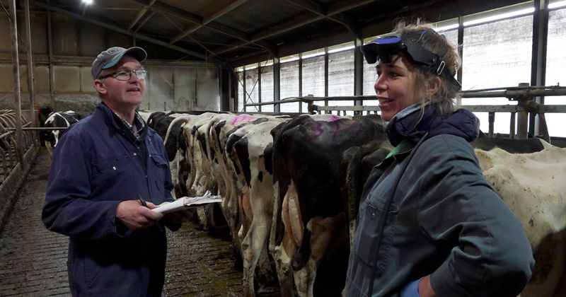 Veeartsen Eelke en Eva zijn YouTube sterren en maken filmpjes over hun ...