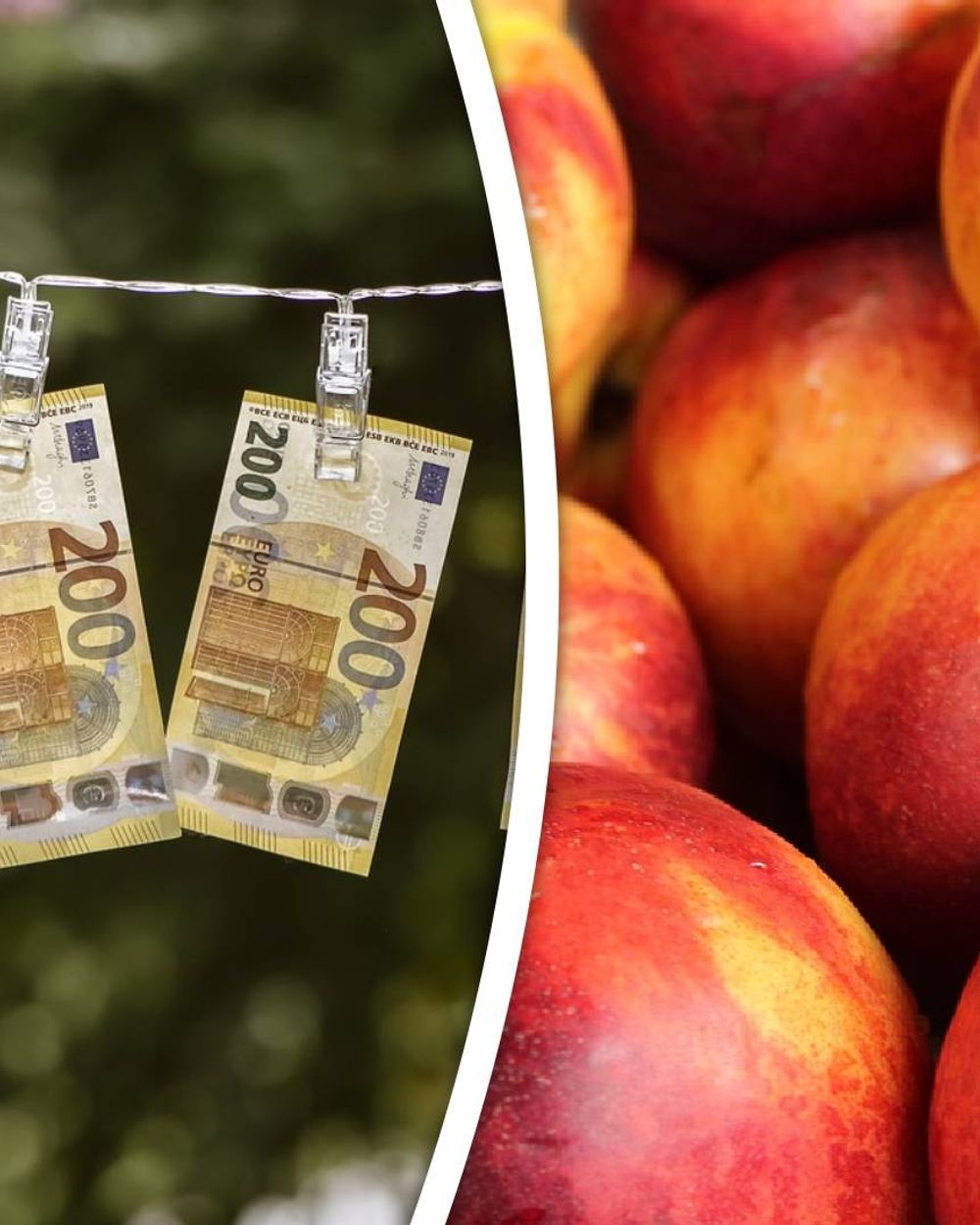 Julian pakt een zak fruit als hij de rechter vertelt over zijn valse ...