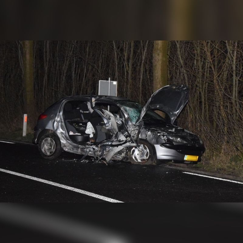 UPDATE: Auto klapt op boom in Munnekezijl; één persoon naar ziekenhuis - Omrop Fryslân