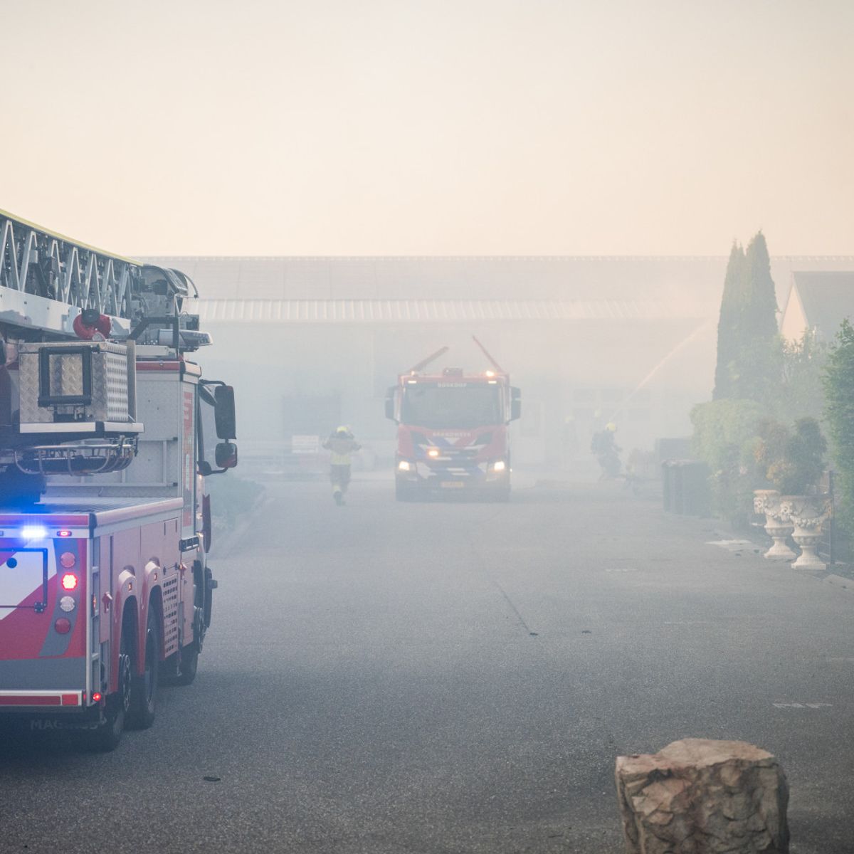 Veel rook bij grote brand op kwekerij - Omroep West