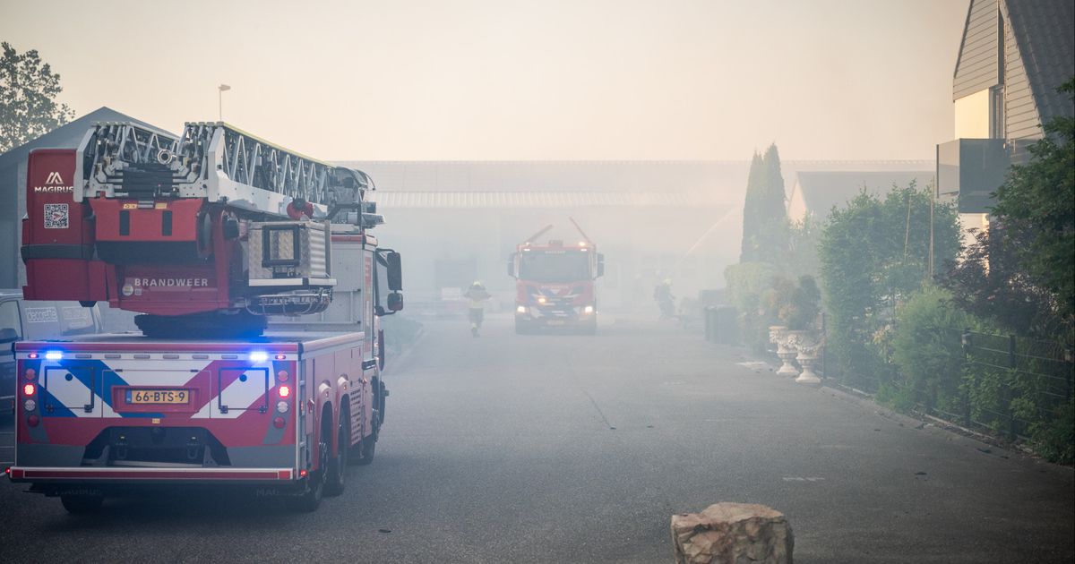 Veel rook bij grote brand op kwekerij - Omroep West