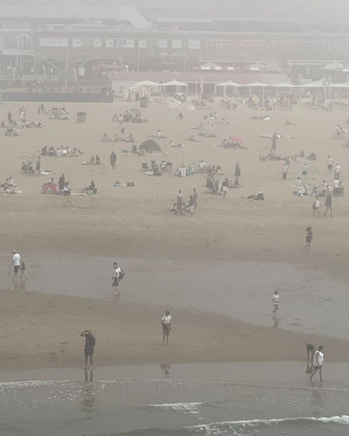 Zonnige stranddag Scheveningen verstoord door zeevlam - Omroep West