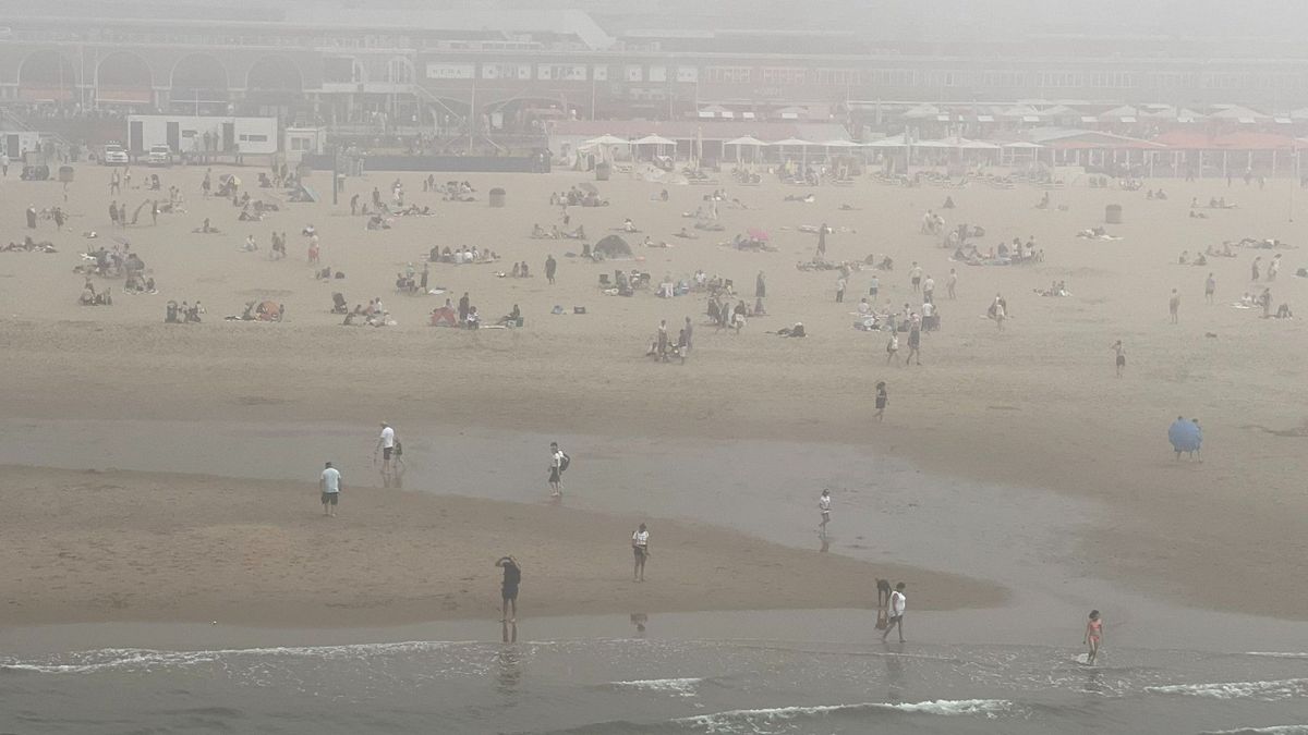 Zonnige stranddag Scheveningen verstoord door zeevlam - Omroep West