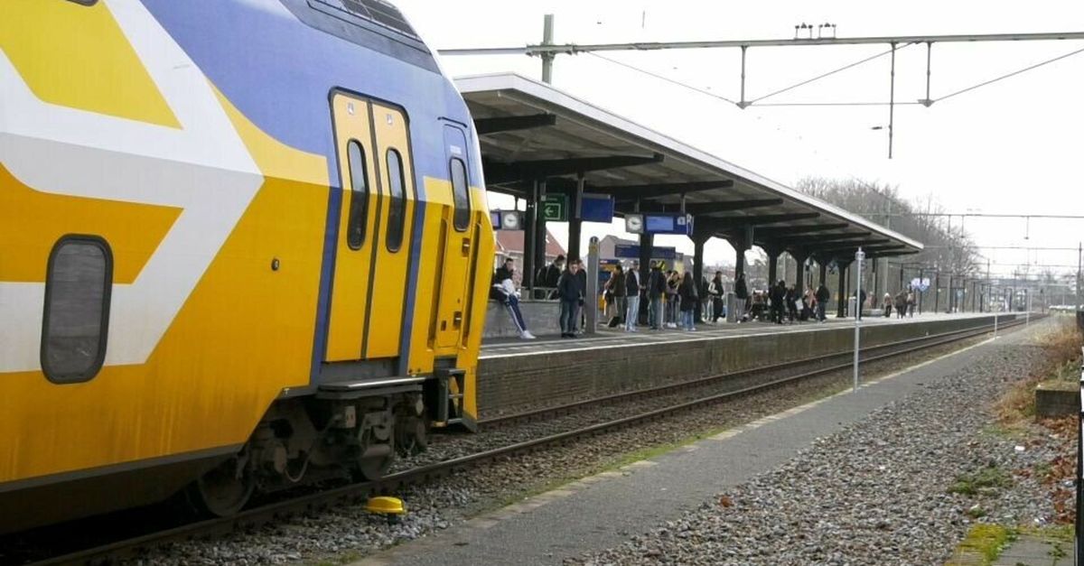 Trein Gent-Terneuzen en snelle bus Gent-Goes stap dichterbij - Omroep ...