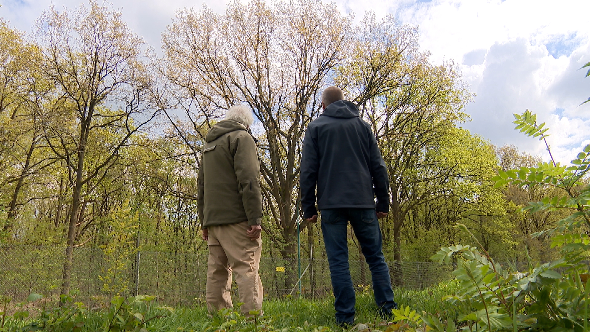 'Verhaal over executies van twee Zeeuwen moet verteld blijven' - Omroep ...