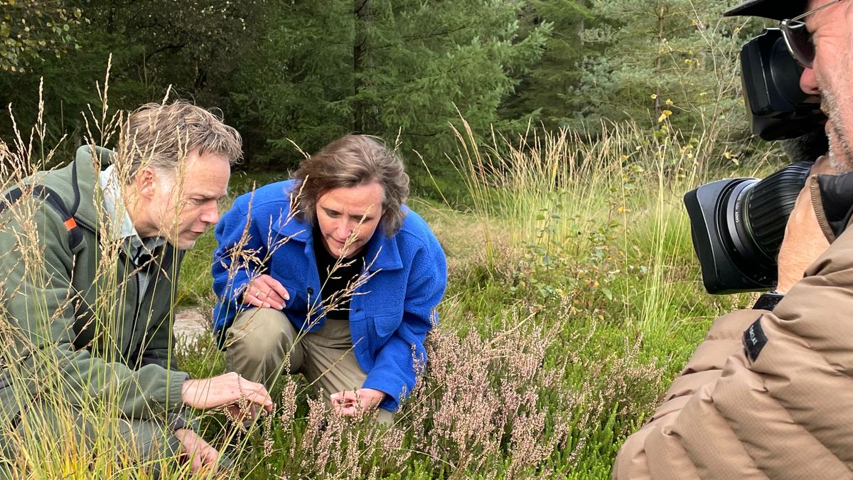 Nieuwe presentator van ROEG! - RTV Drenthe