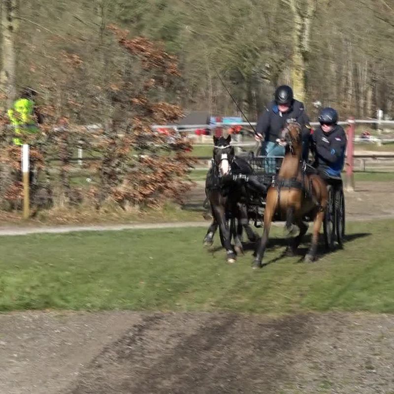 Paramenner Ingmar Veneman na zware schouderoperatie weer terug op ...