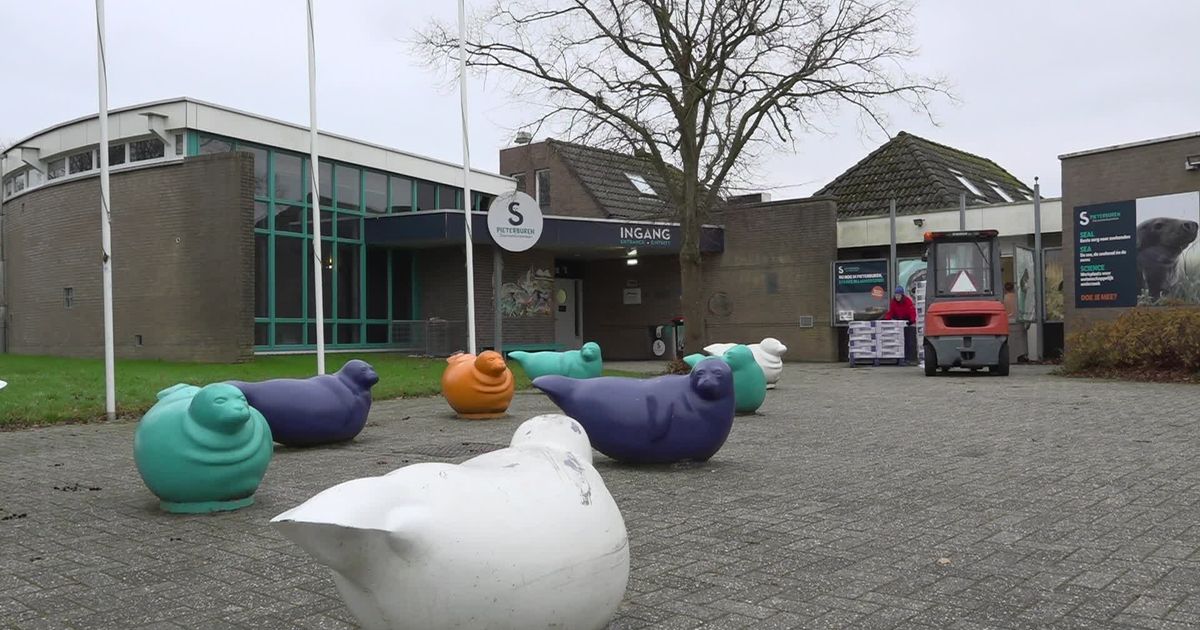 Voormalig zeehondencentrum Pieterburen verkocht, toekomst nog onzeker ...