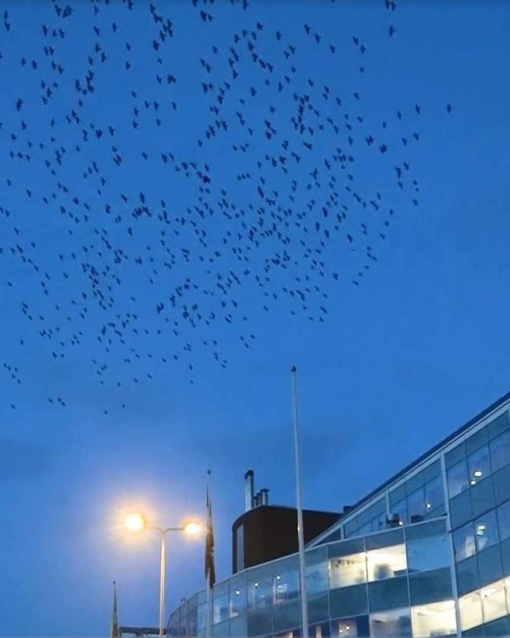 Vitesse wanhoopt niet: 'Al namen van kandidaten genoteerd' - Omroep ...