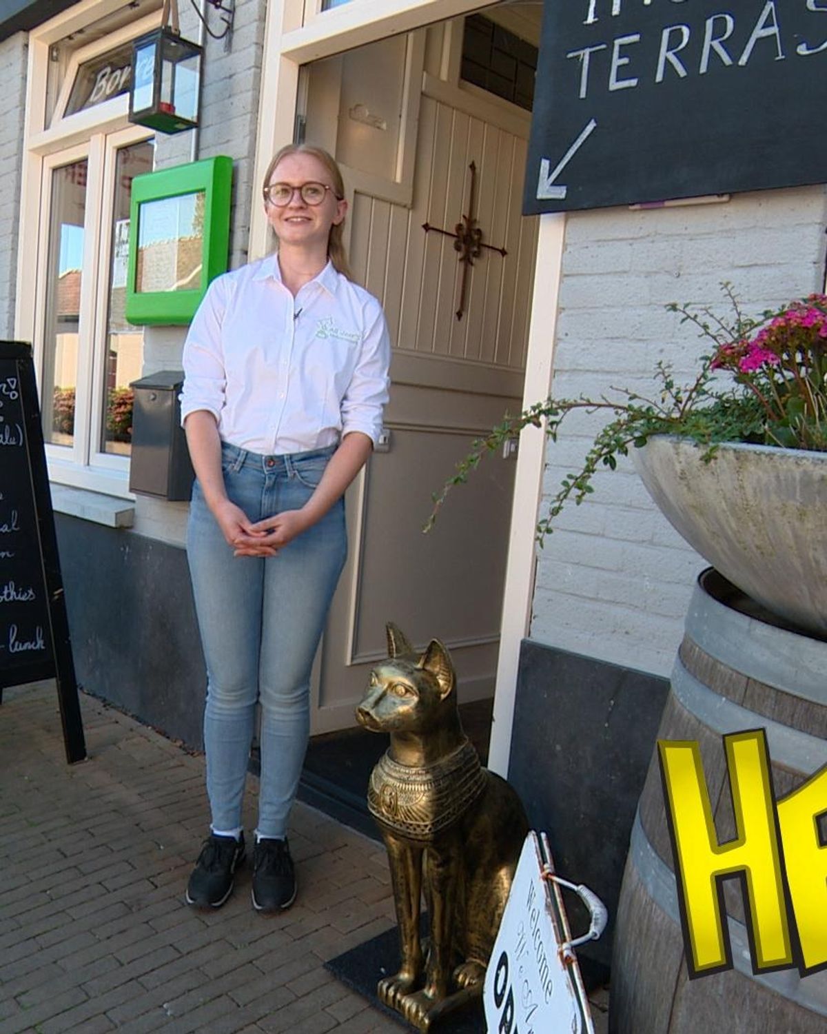 HEA! Jorinde leeft haar droom: ze heeft een café vol raskatten - Omrop ...
