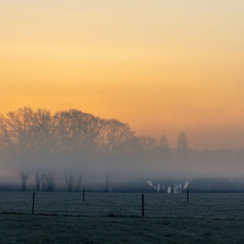 KNMI waarschuwt met code geel voor dichte mist - RTV Drenthe
