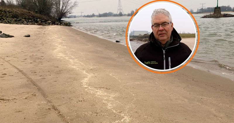 Mysterieuze gele smurrie langs Waal: 'Een milieuramp' - Omroep Gelderland
