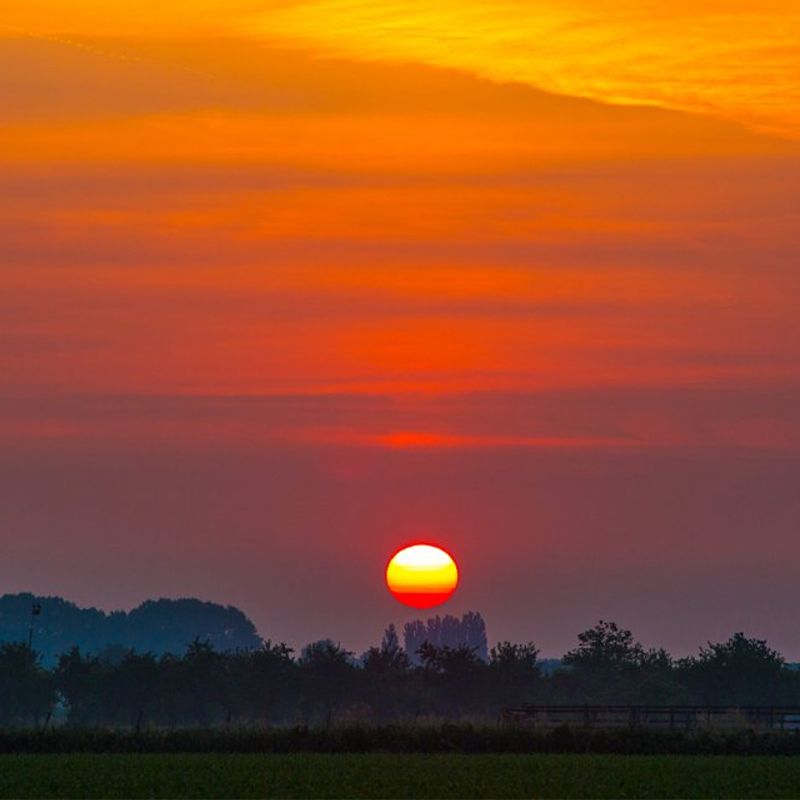 Weg met zeevlam: we kunnen eindelijk naar het strand - Omroep West