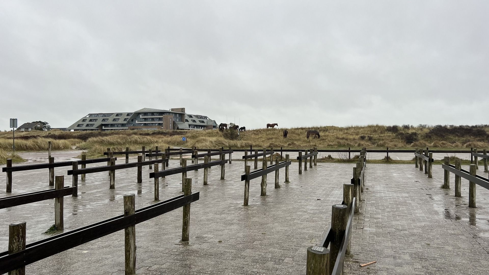 Provincie geeft natuurvergunning voor nieuwe locatie Oerol, maar met ...