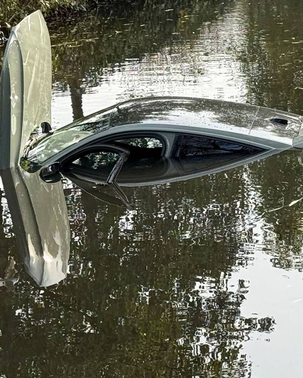 Gaspedaal in plaats van rem: auto duikt water in - Omroep Gelderland