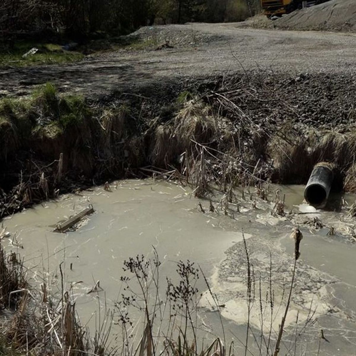 Vervuild water afkomstig van staalslakken stroomt natuur in - Omroep ...