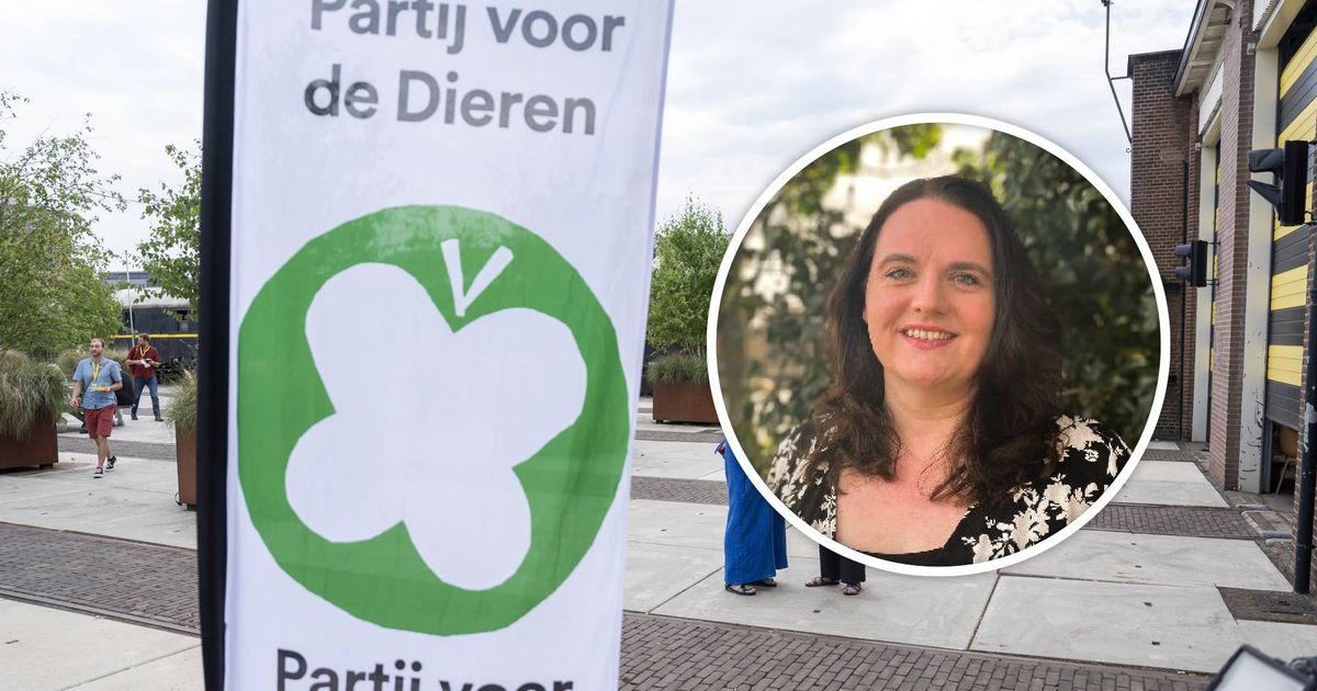 Debbie Mathijsen uit Zwolle hoog op kandidatenlijst Partij voor de ...