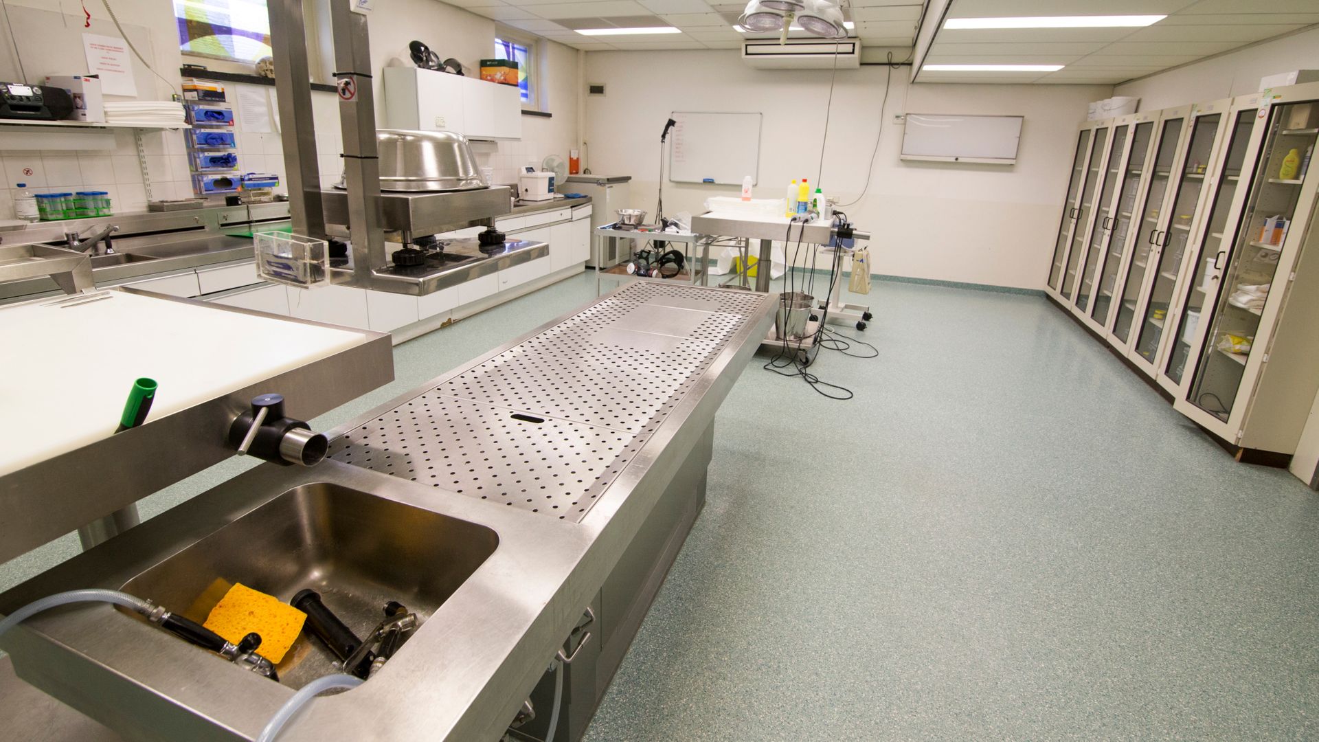 Tekort aan forensisch artsen in het Noorden: 'Draaien lange en meerdere ...