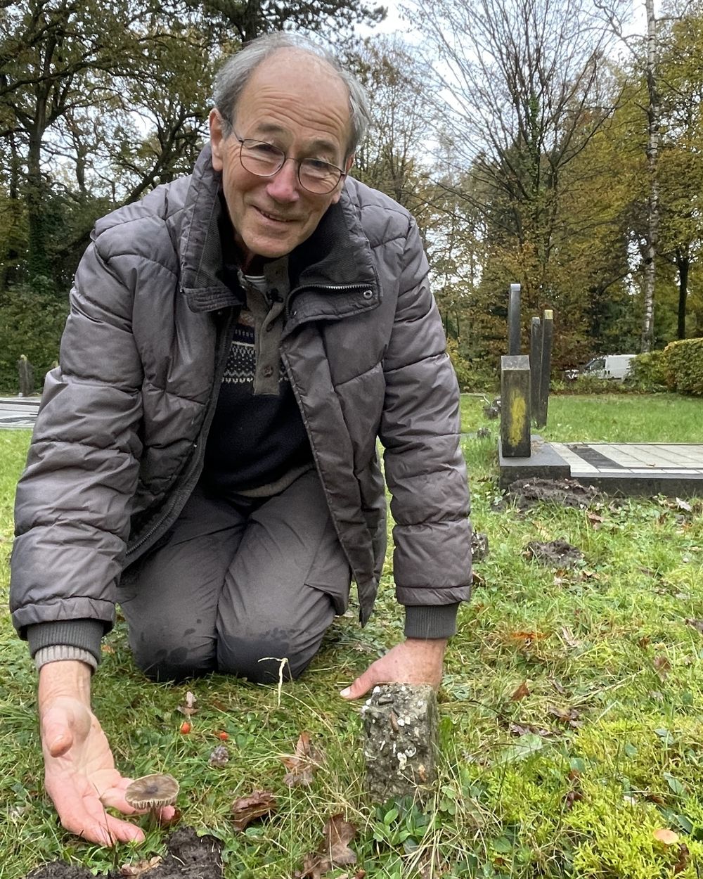 Bijzondere paddenstoelen op de begraafplaats in Zuidwolde: 'Natuurlijke ...
