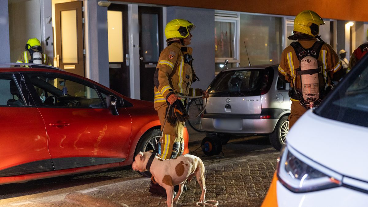 Man en hond gered uit woning vol rook - Rijnmond