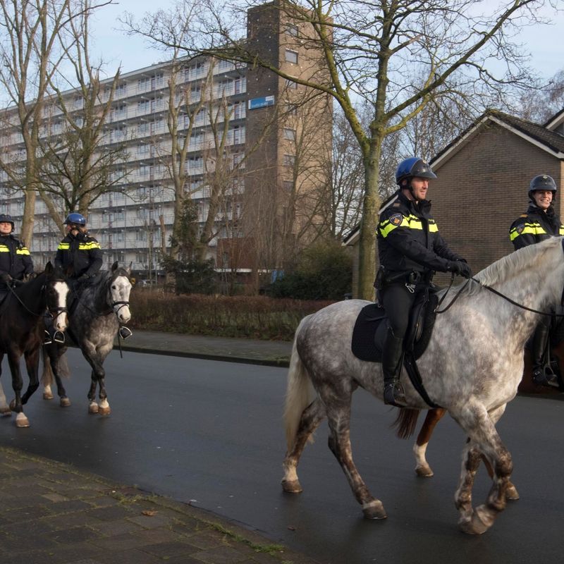 Stad krijgt elf miljoen van het Rijk voor wijkontwikkeling - RTV Noord