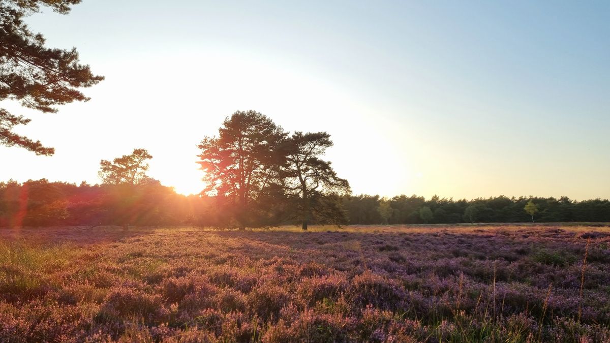 Ontspanning in de Drentse natuur - RTV Drenthe