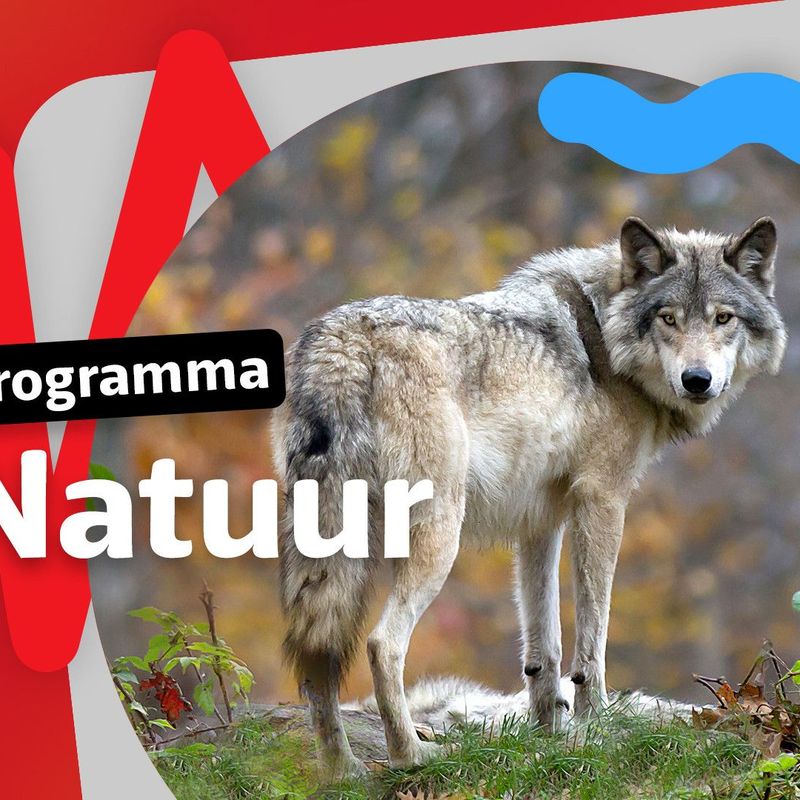 Wat doet de provincie eigenlijk op het gebied van natuur? En wat denken ...