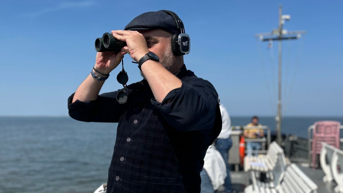 'Silent disco' op de Waddenzee: op zoek naar de bruinvis voor onderzoek ...