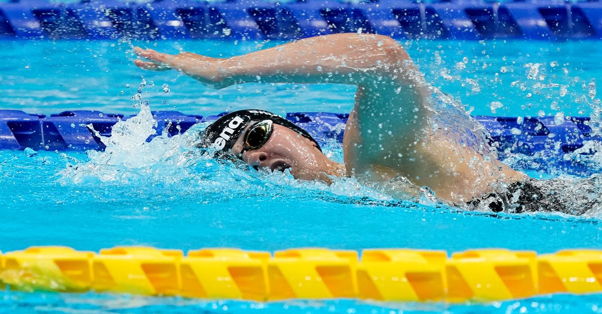 Brûns foar Bruinsma op WK paraswimmen | Berkhout spilet mei troch ...