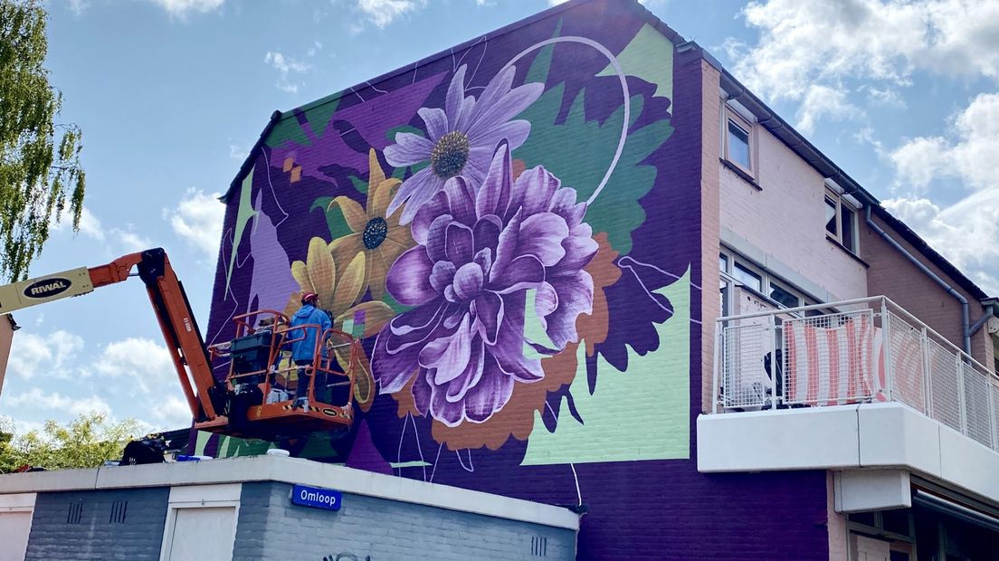 Street Art Festival in Assen: Van grijs naar muren bomvol kleur - RTV ...