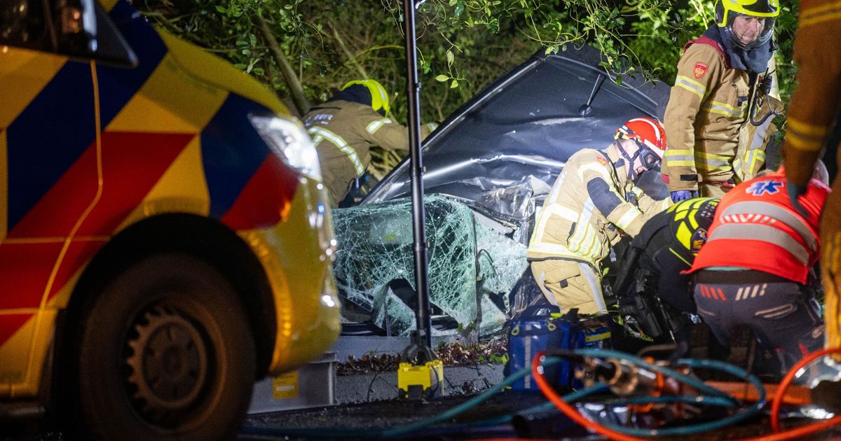 Minderjarige jongens uit Eefde omgekomen bij ernstig ongeluk - Omroep ...