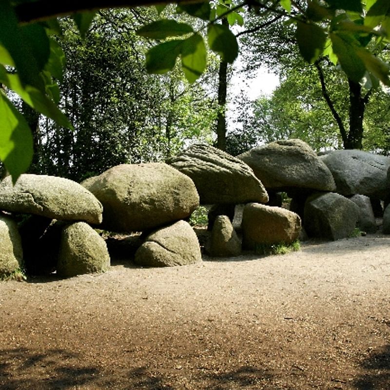 Hunebed D27 als begin van de Canon van Nederland - RTV Drenthe