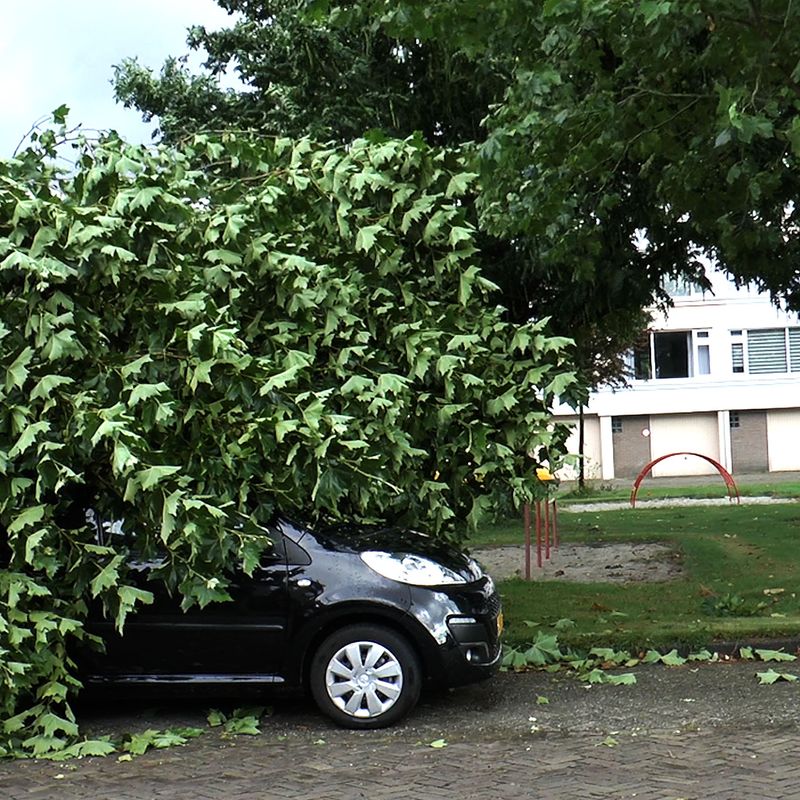 Boom valt op auto door storm in Hoogeveen - RTV Drenthe