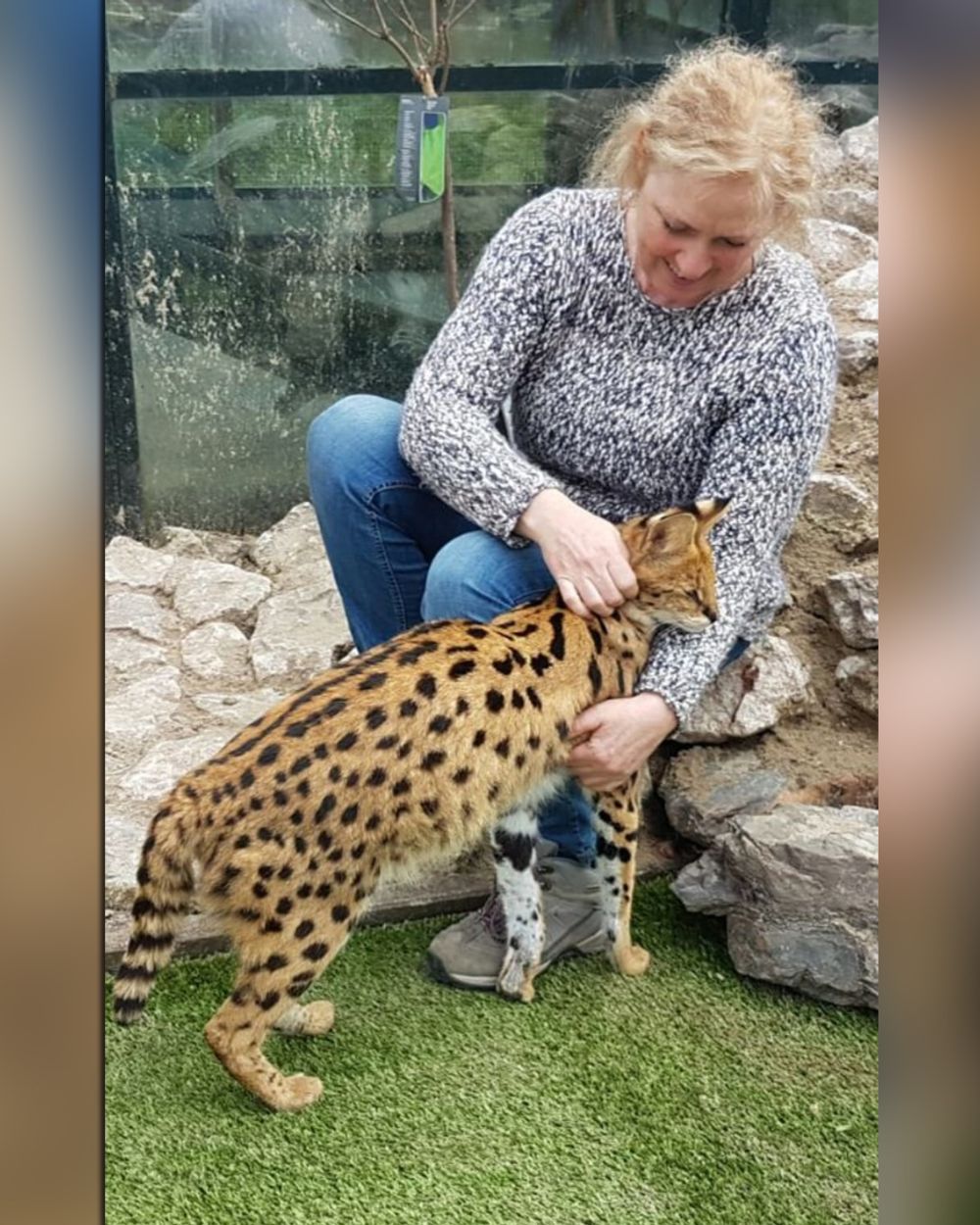Volgens Petra is haar serval een gelukkig huisdier, daar is niet ...