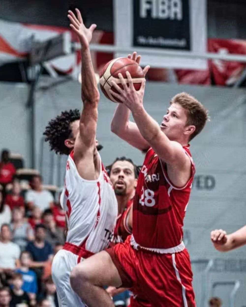 Donar versterkt zich met Deens international: 'Wil kampioenschap naar ...