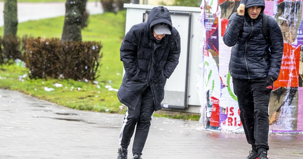 Code geel in Drenthe door harde windstoten - RTV Drenthe